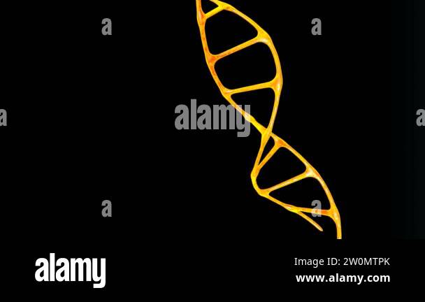 Background Movement of a spiral DNA Molecule. A macromolecule that ...