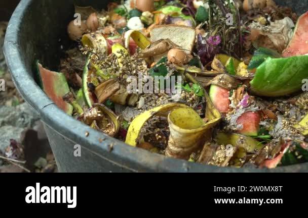 Green mixed waste Stock Videos & Footage - HD and 4K Video Clips - Alamy