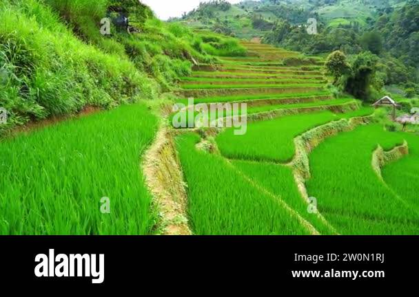 Mu cang chai landscape Stock Videos & Footage - HD and 4K Video Clips ...