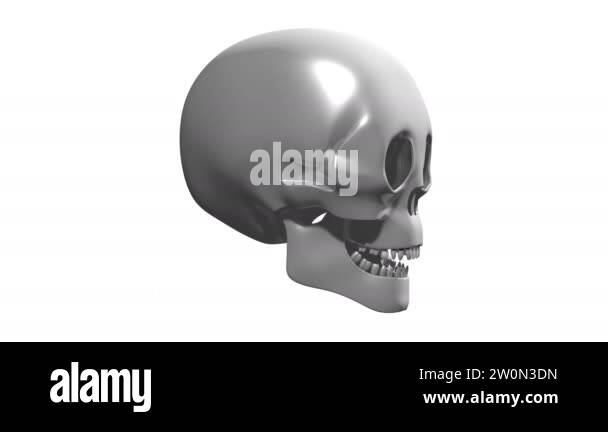 3D 4k rotating human skull - isolated on white background Stock Video ...