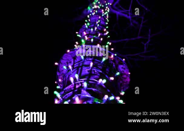 Beautiful winter Christmas decorations garlands and neon holiday lights ...