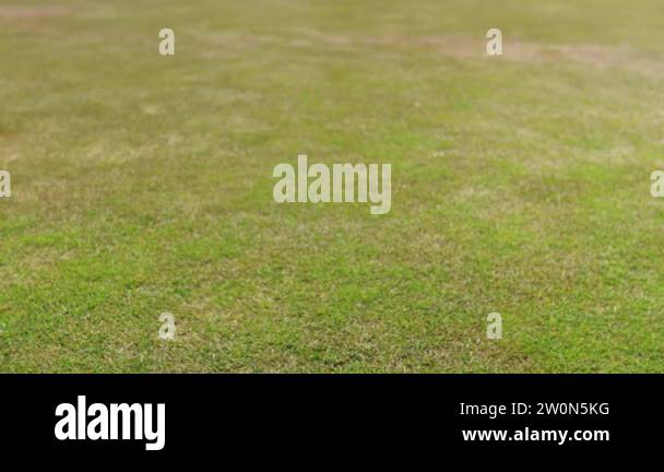 Falling down a hole Stock Videos & Footage - HD and 4K Video Clips - Alamy