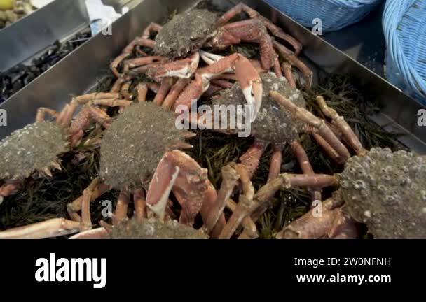 Top view of fresh crabs at the fish market, seafood and delicacy ...