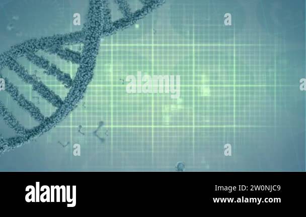 Animation of a spinning DNA strand with moving particles on a grid and ...