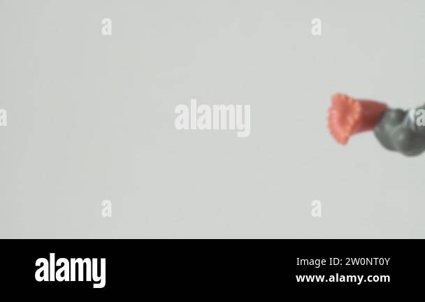 Mock female reproductive system on a white background, isolate ...