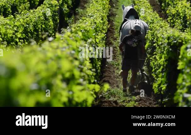 Archaic methods Stock Videos & Footage - HD and 4K Video Clips - Alamy