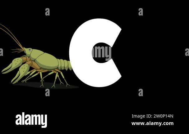 Animated zoological English alphabet. Alpha matte motion graphic ...