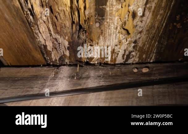 Rotting beams Stock Videos & Footage - HD and 4K Video Clips - Alamy