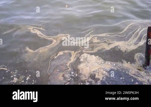 Oil spots on the water surface of the Caspian sea.Baku, Azerbaijan. The ...