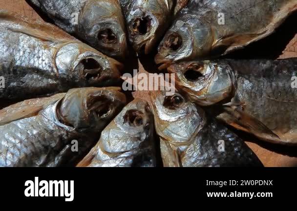 Saline fish Stock Videos & Footage - HD and 4K Video Clips - Alamy