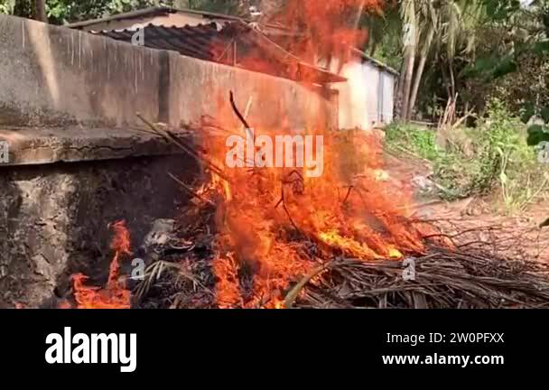 Born fire Stock Videos & Footage - HD and 4K Video Clips - Alamy
