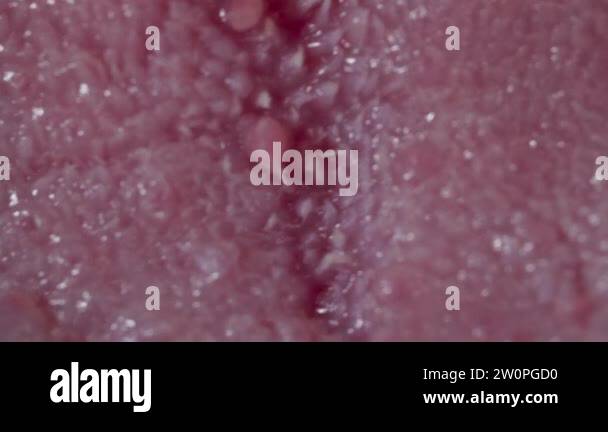 Healthy Human Tongue Stock Videos And Footage Hd And 4k Video Clips Alamy
