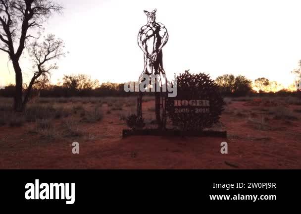 Roger kangaroo Stock Videos & Footage - HD and 4K Video Clips - Alamy