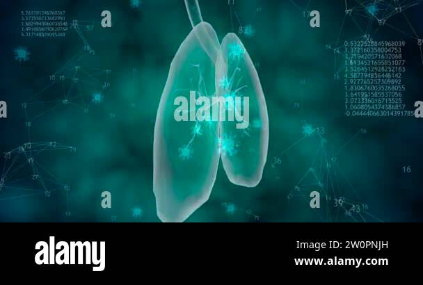 Rotating 360 low polygonal lungs 3D model with coronavirus cells and ...