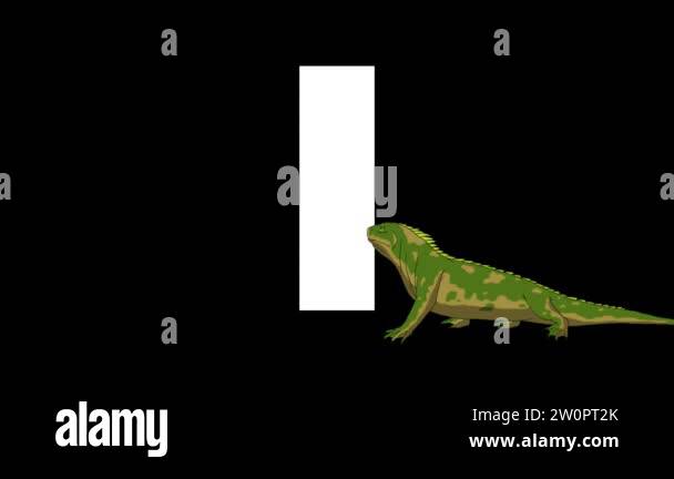 Animated zoological English alphabet. Alpha matte motion graphic ...