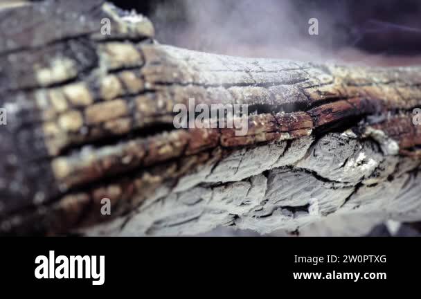 Cinemagraph of smoke emitted from a burnt log. Close up, loop with ...