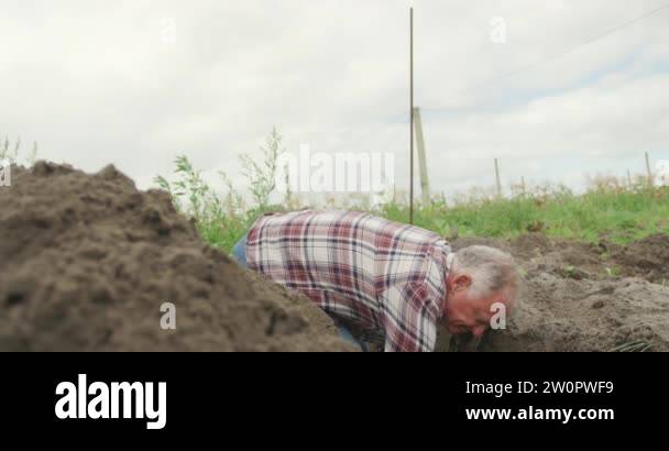 Male digging a hole Stock Videos & Footage - HD and 4K Video Clips - Alamy