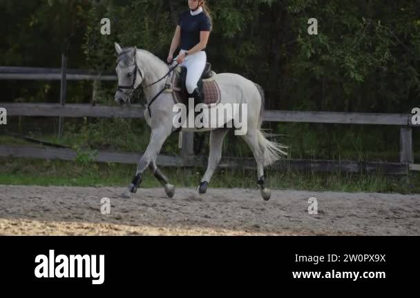 Professional girl rider galloping on a horse. Girl riding a horse on an ...
