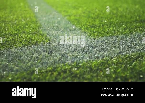 Field boundary line Stock Videos & Footage - HD and 4K Video Clips - Alamy