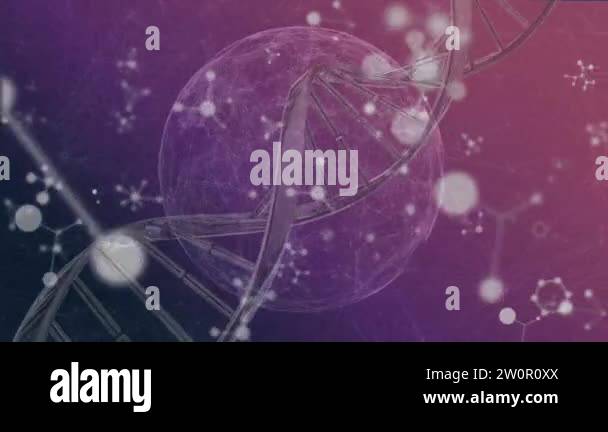 Animation of turning DNA strand, single spherical transparent cell and ...