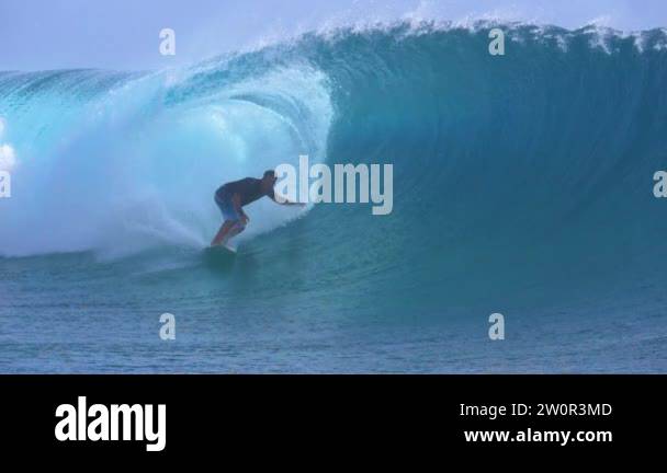 Tahiti and underwater Stock Videos & Footage - HD and 4K Video Clips ...