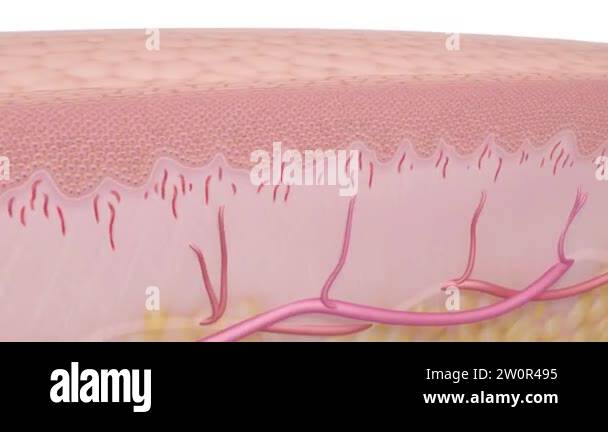 Reduce surface tension Stock Videos & Footage - HD and 4K Video Clips ...