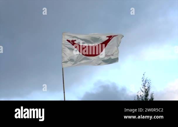 Rapi Nui Native Easter Island Flag Waving in Wind Time Lapse Stock ...