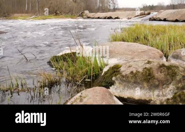 Camera is moving over clean fresh water of a forest stream running over ...