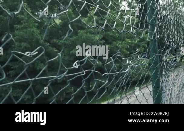 Torn chain-link fence tied with a green wire. Against the background of ...