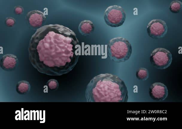 3D animation of a microscopic view of many stem cells which shows the ...