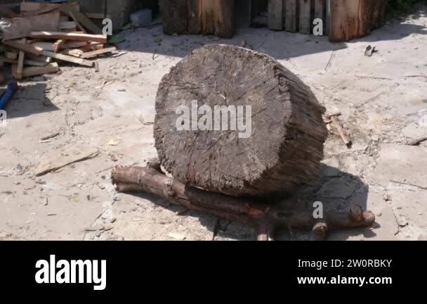 Axe tree Stock Videos & Footage - HD and 4K Video Clips - Alamy