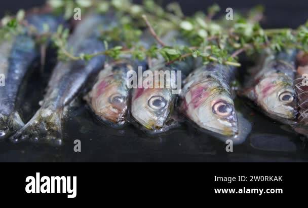 Sardines cooking on an open BBQ : Espetos - skewer with sardines in a ...