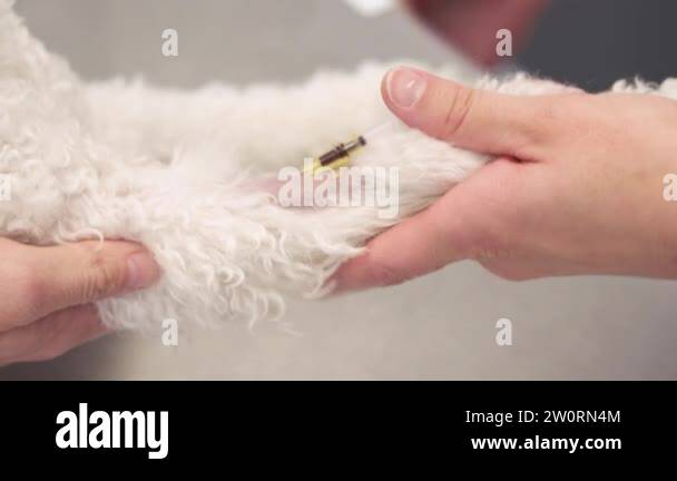 Peripheral intravenous line Stock Videos & Footage - HD and 4K Video ...