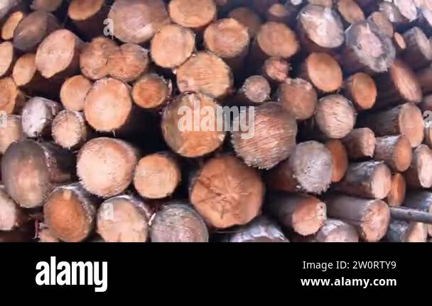 Wood pulp industry Stock Videos & Footage - HD and 4K Video Clips - Alamy
