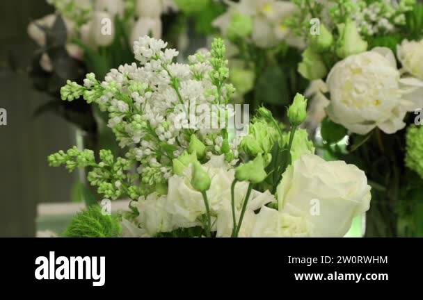 White lilac roses green leaves Stock Videos & Footage - HD and 4K Video ...