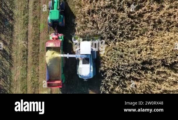 Aerial shot of harvester loading off corn on trailers. Aerial shot of ...