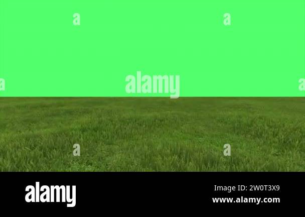 4k animation of green field on green screen in background Stock Video ...
