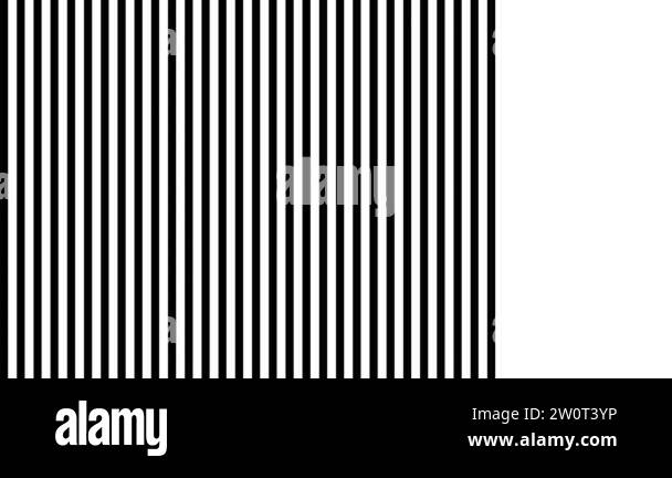 Transition monochrome. Abstract motion graphics and animated background ...