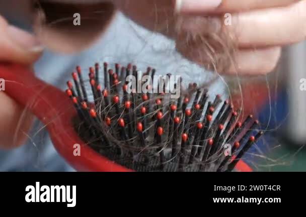 Close up view of female hands clean Drop down hair on a comb after ... Close up view of female hands clean Drop down hair on a comb after ...