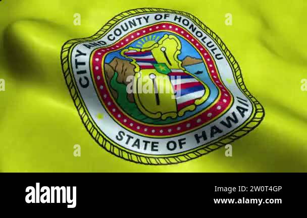 Flag of Honolulu USA City Seamless Looping Waving Animation Stock Video ...
