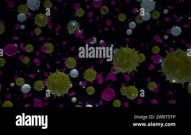 3D virus cells in human organism. Animation. Abstract bacteria and red ...