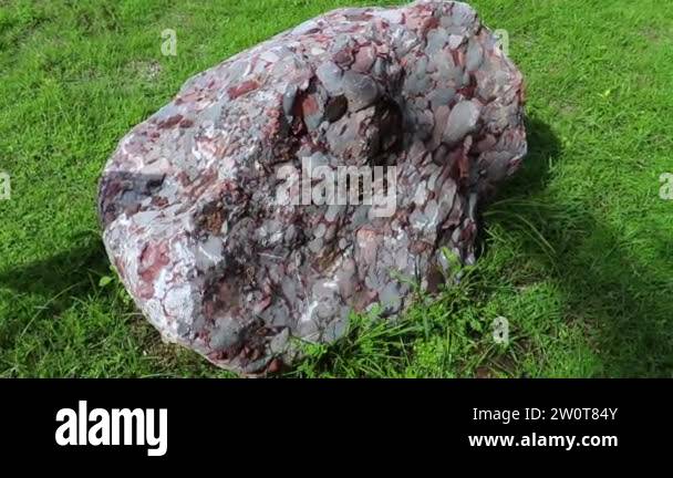 Natural specimen of conglomerate - sedimentary rock composed of rounded ...