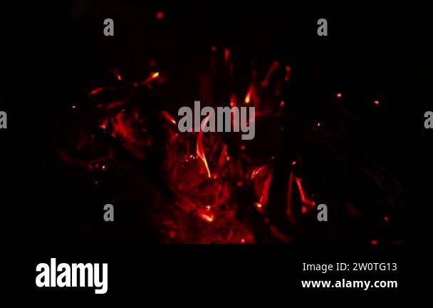 Coconut Leaf Fire flames on a black background. Blaze fire flame ...