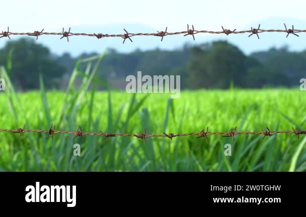 Barbed wire field boundary Stock Videos & Footage - HD and 4K Video ...