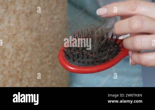 Female hands clean Drop down hair on a comb after combing. Lots of ... Female hands clean Drop down hair on a comb after combing. Lots of ...