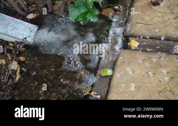 Overflow room Stock Videos & Footage - HD and 4K Video Clips - Alamy