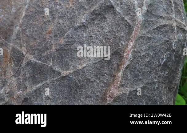 Diorite stone is an intrusive igneous rock composed principally of the ...
