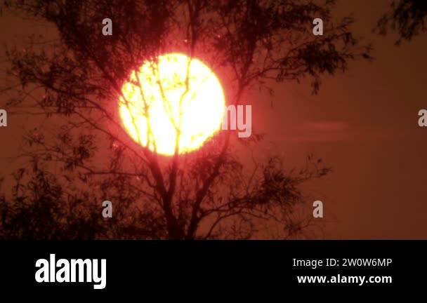 Sun movement Stock Videos & Footage - HD and 4K Video Clips - Alamy