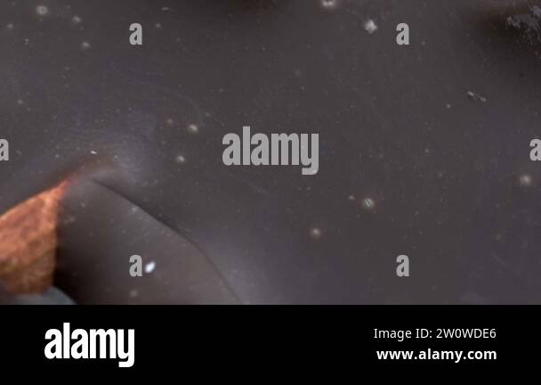 Grocery video background dark chocolate with nuts rotates in front of ...