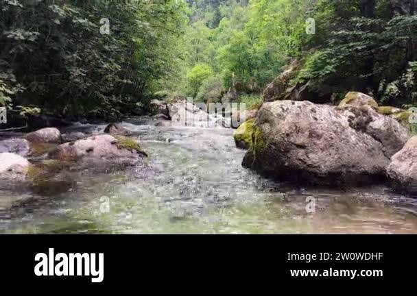 camera movement with a vertical overview from inside a wild river that ...